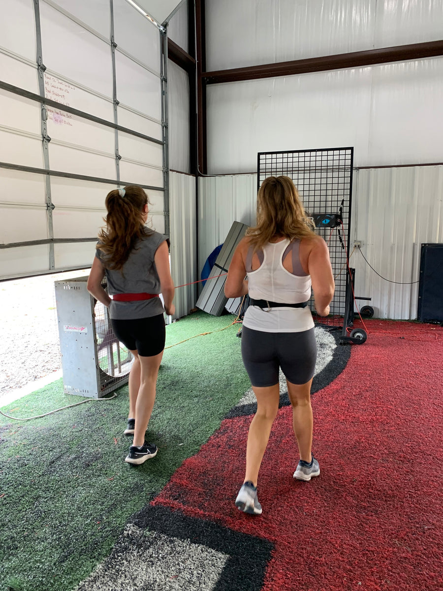 Fitness Training – Yutrain Fitness